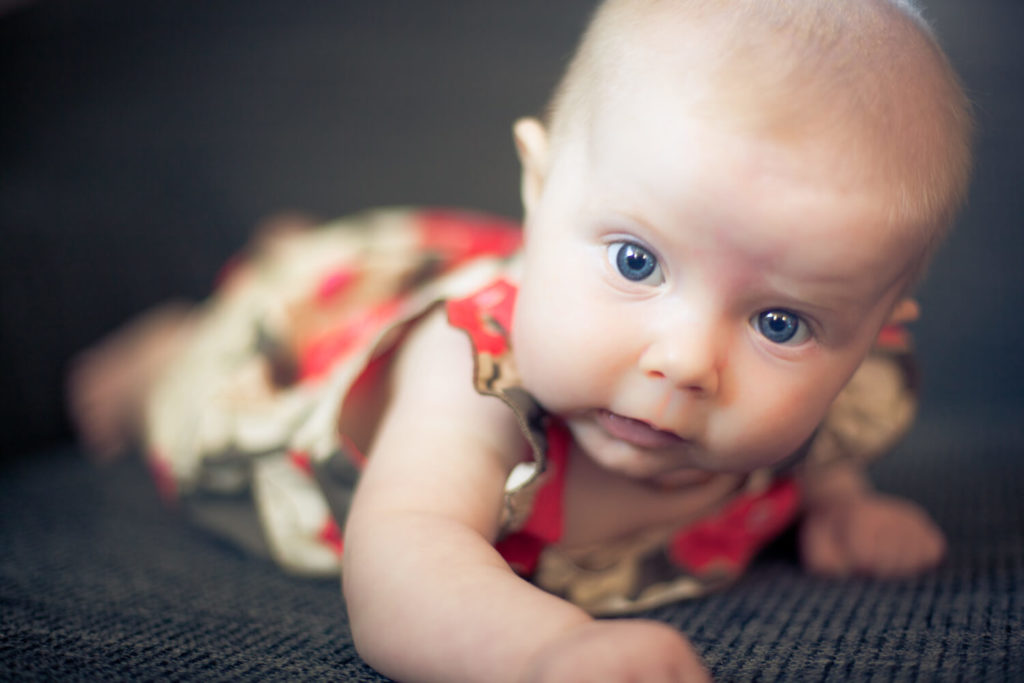 Pittsburgh Family Photographer | Lacey Family Portrait - Missy Timko ...